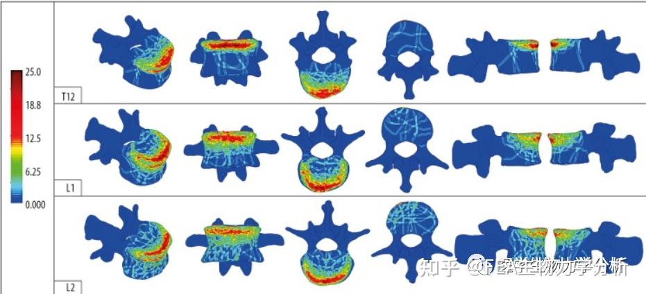 Mimics软件运用教程 - 知乎