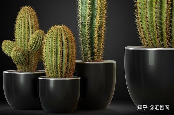 15个最受欢迎的3D CAD下载网站【100万+免费模型】 - 知乎