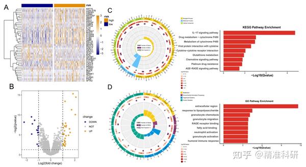 Nature子刊| 38+STTT推荐的科研热点：CCL20 - 知乎