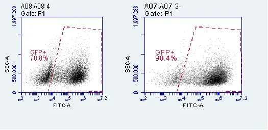 慢病毒转导增强剂——LVTE - 知乎