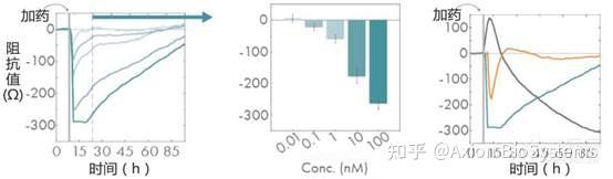 Maestro Z - 实时无标记细胞分析系统 - 知乎
