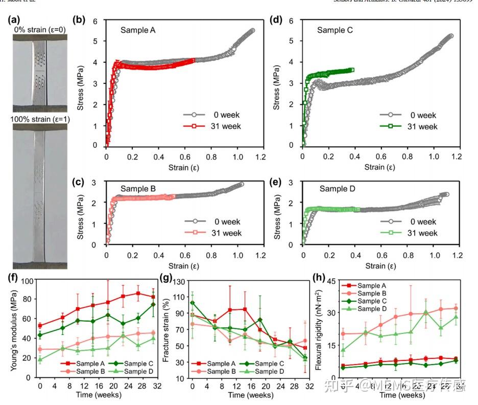 基于PDMS的柔性ECoG电极 - 知乎