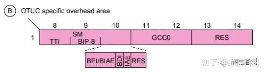 G.709协议：超100G OTUCn信号及其帧结构 - 知乎