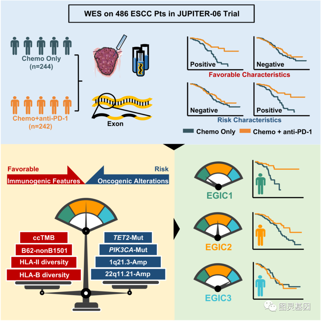 Cancer Cell | 中山大学团队构建食管癌免疫分型，助力精准免疫治疗（2） - 知乎