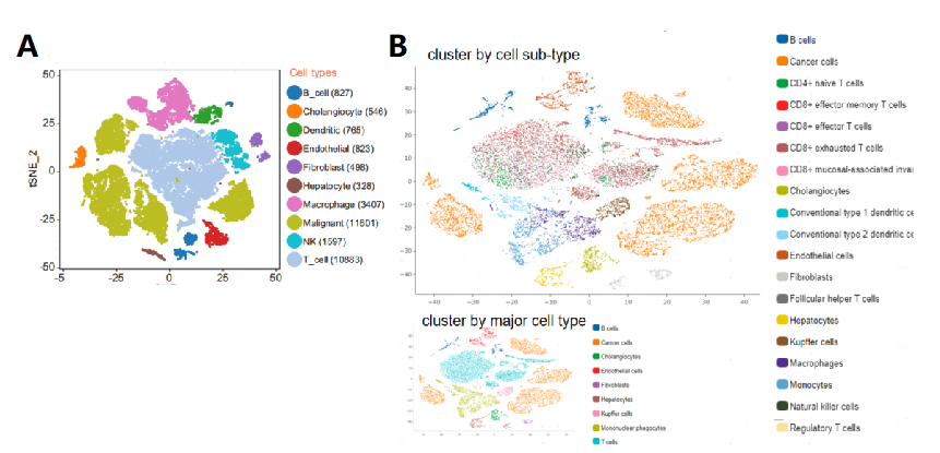SynEcoSys数据库公共数据挖掘专题（二）：复现经典的单细胞图谱构建和深入分析过程 - 知乎