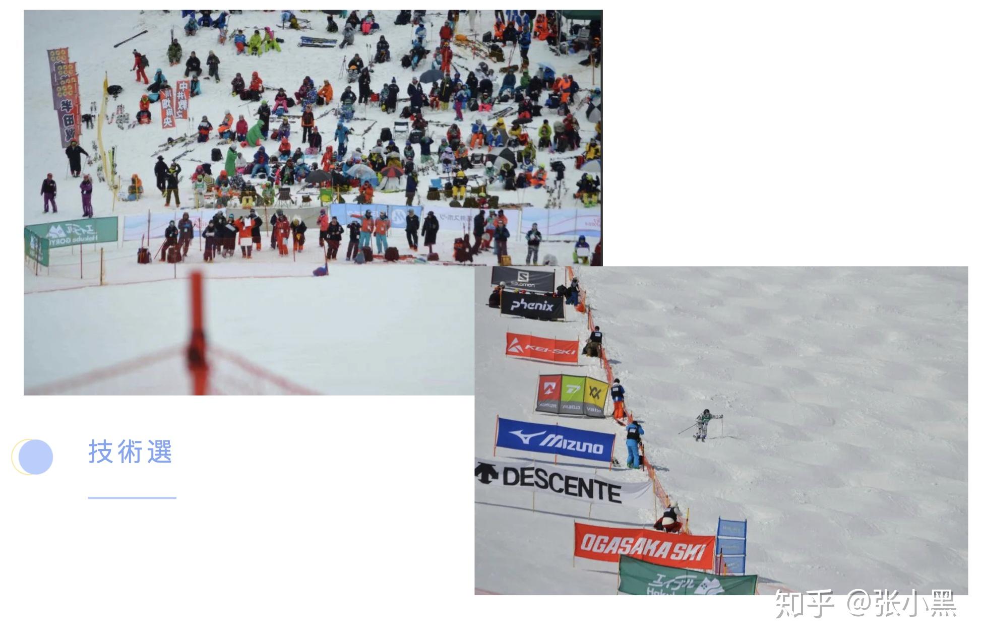 打破信息不对等 彻底搞懂亚洲最强滑雪认证SAJ - 知乎