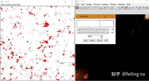 荧光强度统计方法（imageJ软件分析） - 知乎
