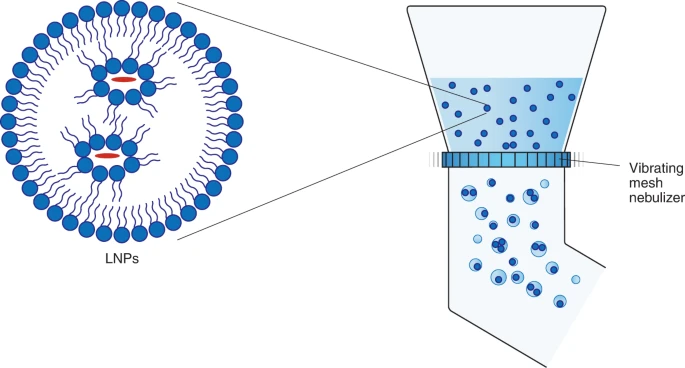 优化出一篇Nature Biomedical Engineering - 知乎