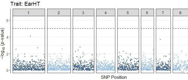 DNA 17. SCI 文章用于分析基因组多样性工具 (rTASSEL) - 知乎
