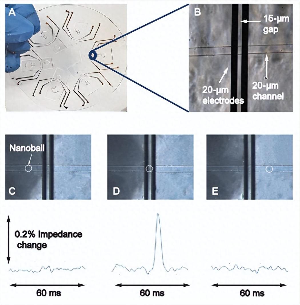 Science Advances: 新型简便的病原体核酸POC检测技术 - 知乎