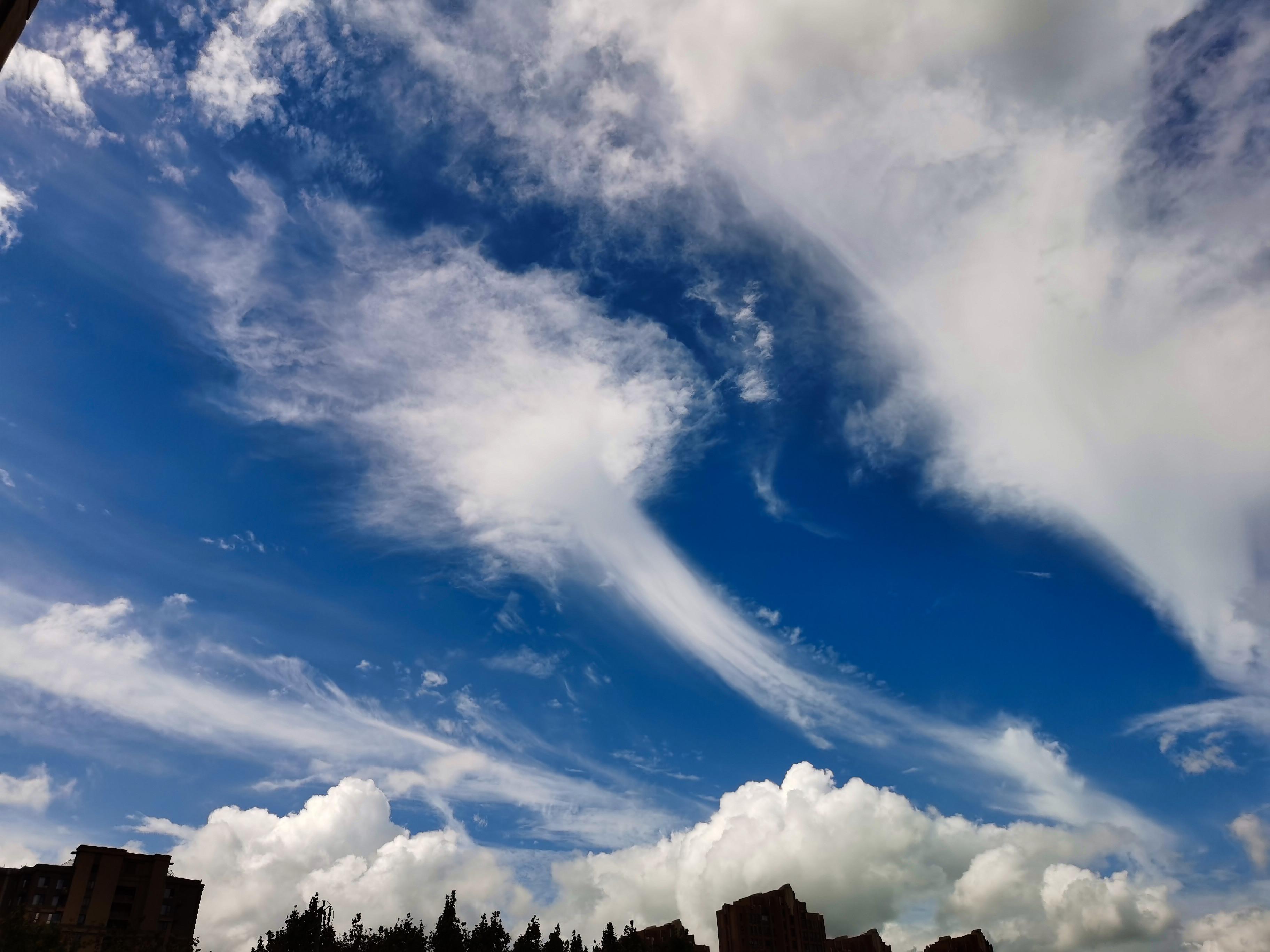 深度学习论文解读：比较ResNet和ViT差异 - 知乎