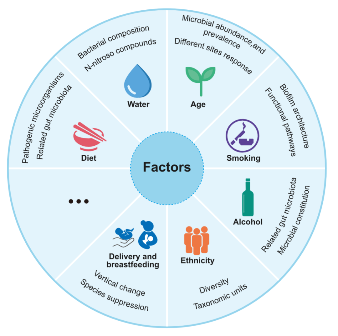 iMeta | 南农沈其荣团队发布微生物网络分析和可视化R包ggClusterNet - 知乎