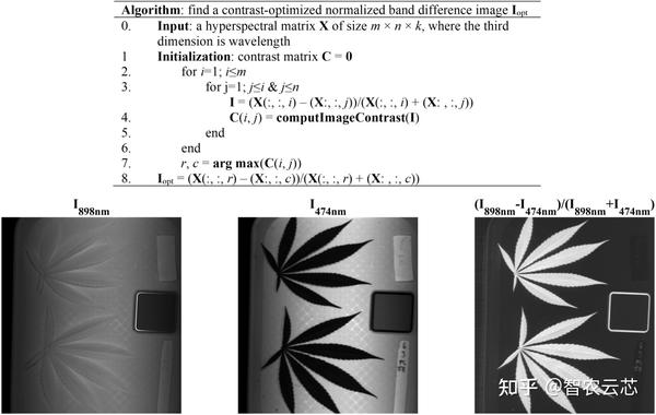 FRONT PLANT SCI |基于机器学习和高光谱成像识别工业大麻的品种、生长阶段、花和叶子 - 知乎