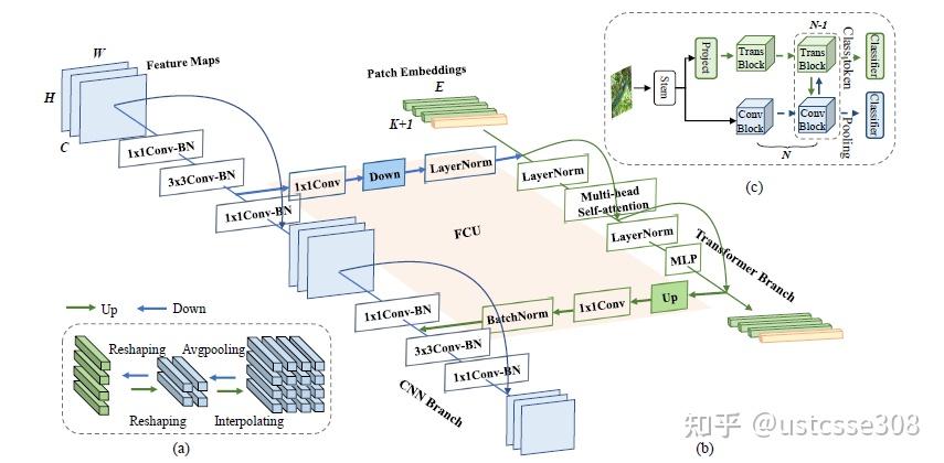 Conformer: Local Features Coupling Global Representations for Visual Recognition - 知乎