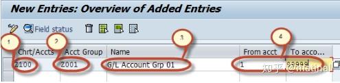 SAP FICO全解析之-如何在SAP中创建会计科目表 - 知乎