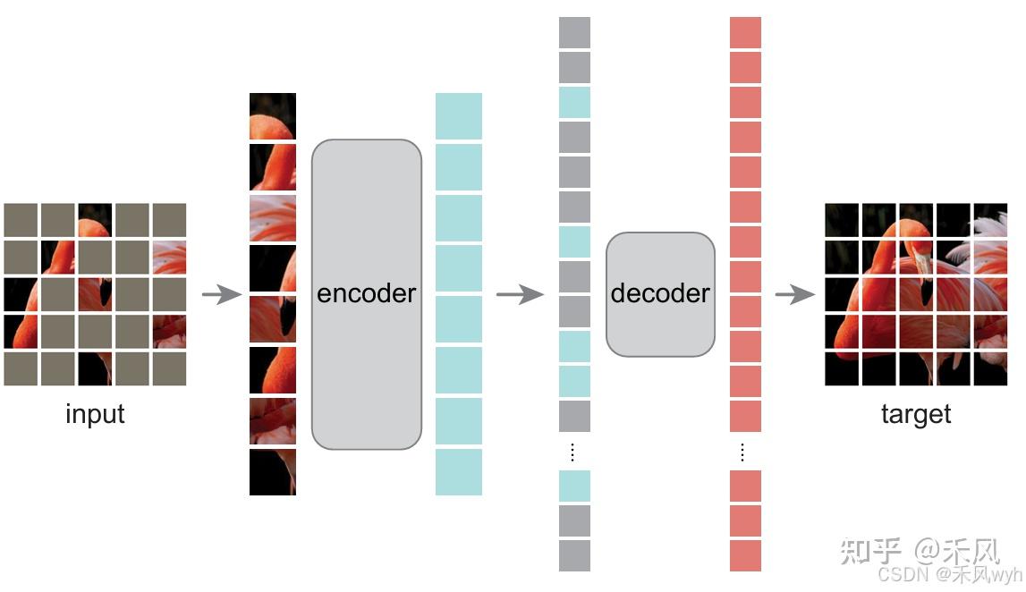 【深度学习】深刻理解Masked Autoencoders（MAE） - 知乎