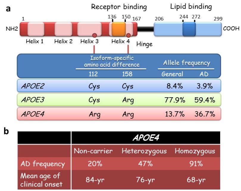 AD新希望，潜力靶点及动物模型汇总 - 知乎