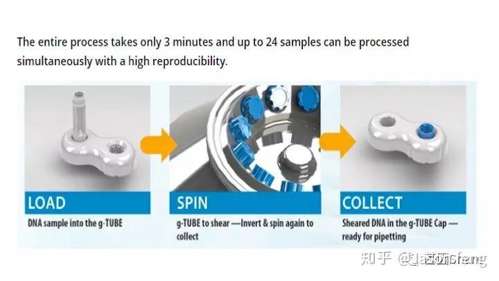 Pacbio测序原理以及SMRT bell文库构建流程简述 - 知乎