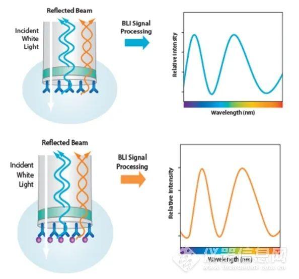 技术流派解析：带你重新认识大分子相互作用仪 - 知乎