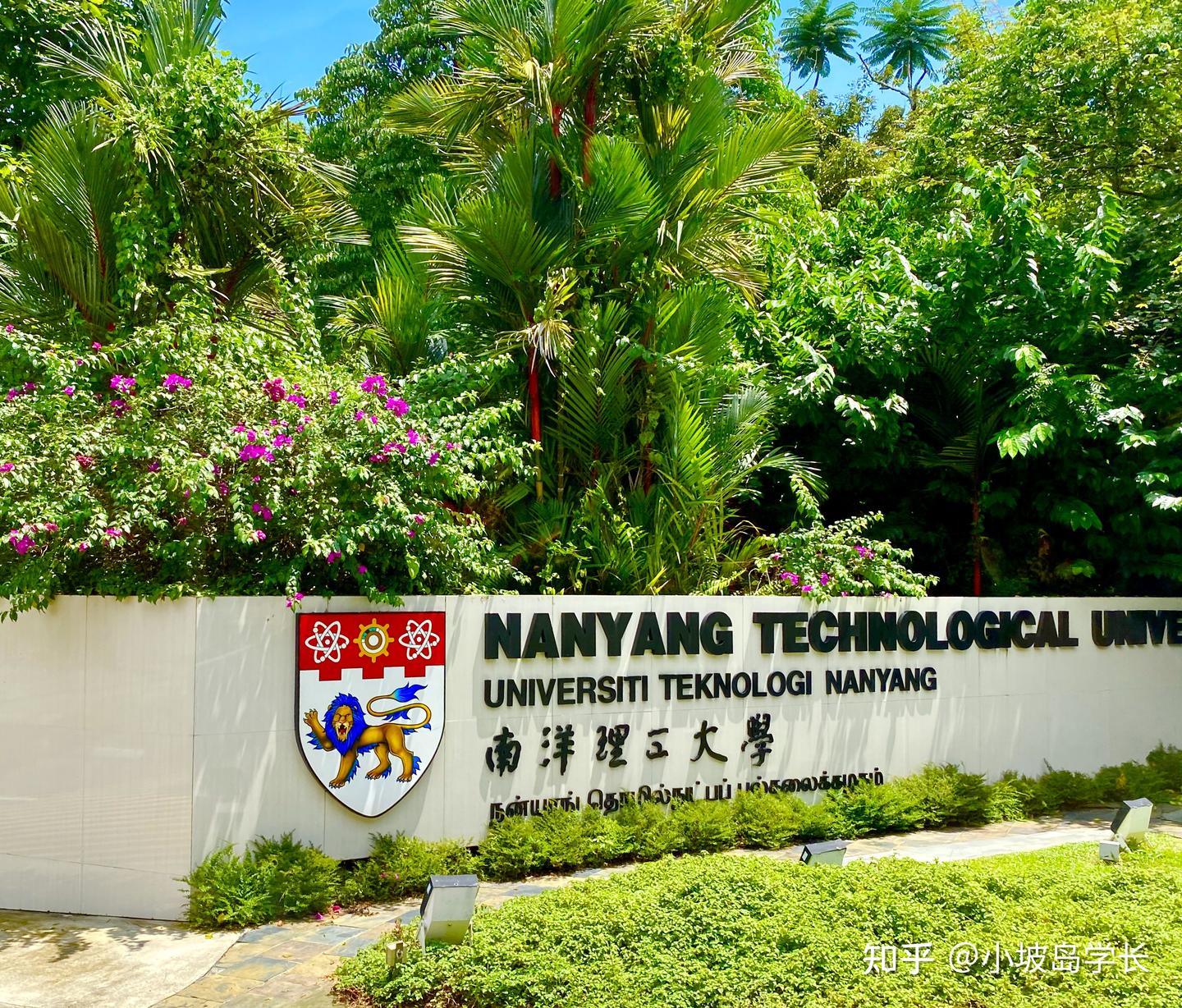 NTU RSIS 就读体验（关于RSIS的一切信息） - 知乎