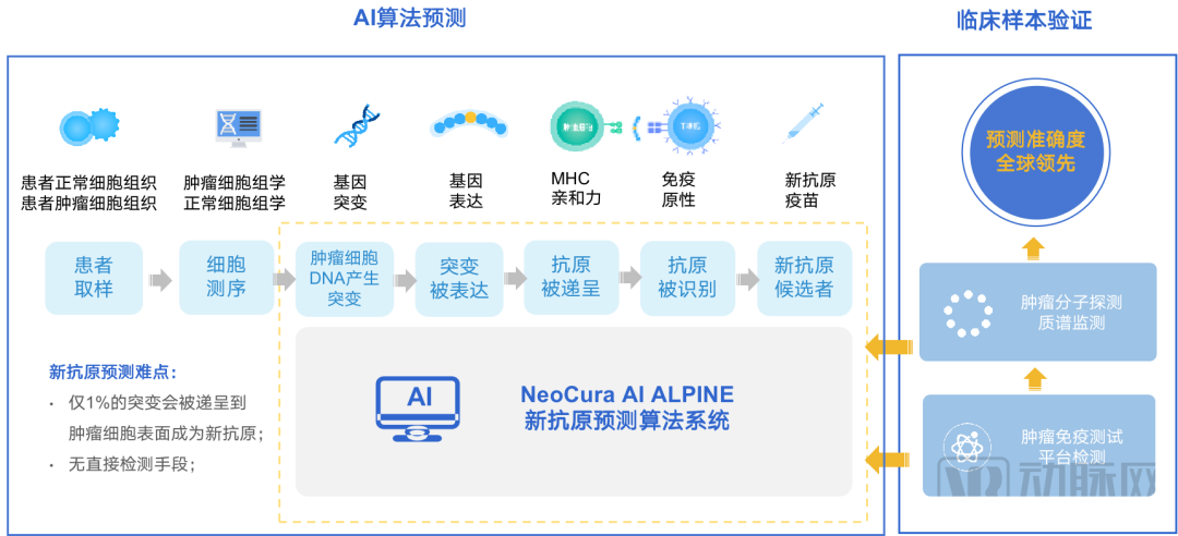 国内首个mRNA肿瘤新抗原疫苗获CDE受理，AI+RNA创新药研发模式大放异彩 - 知乎