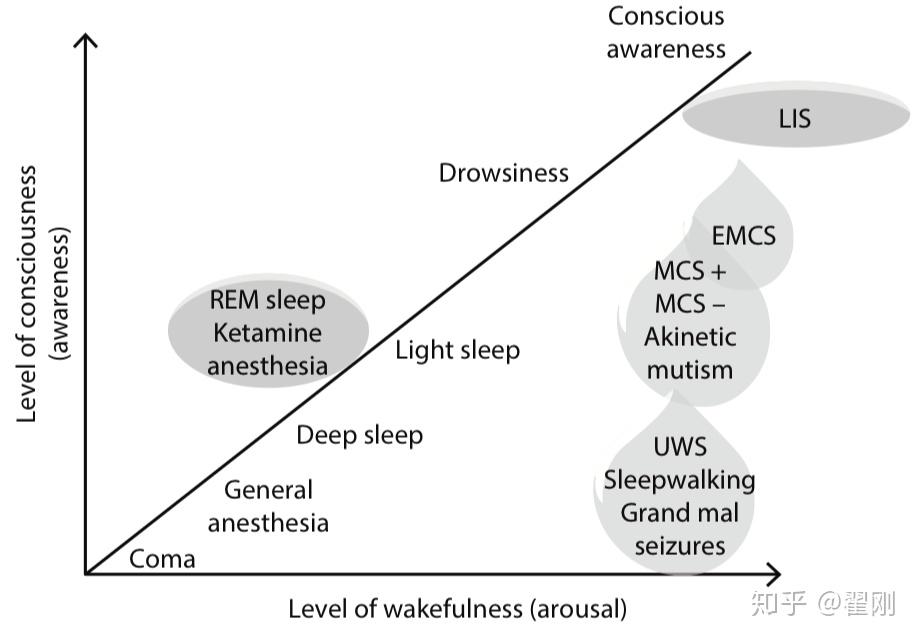 梦游者有意识吗？ - 知乎