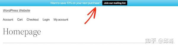 2022 年 6 个最佳 WordPress 横幅插件（比较） - 知乎