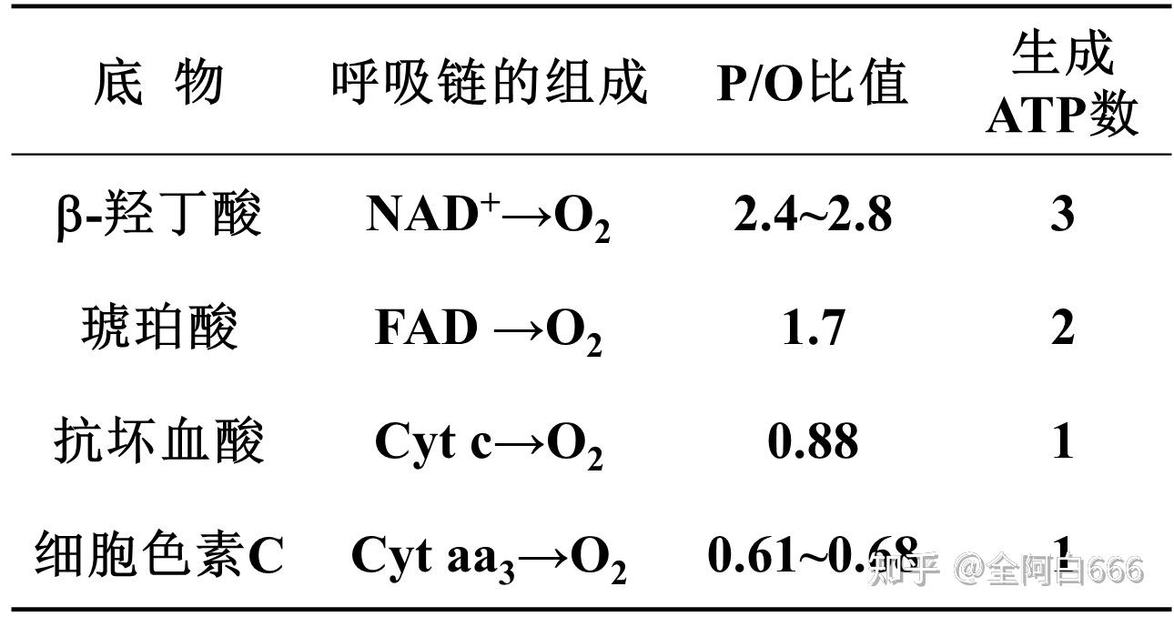 氧化磷酸化 知乎