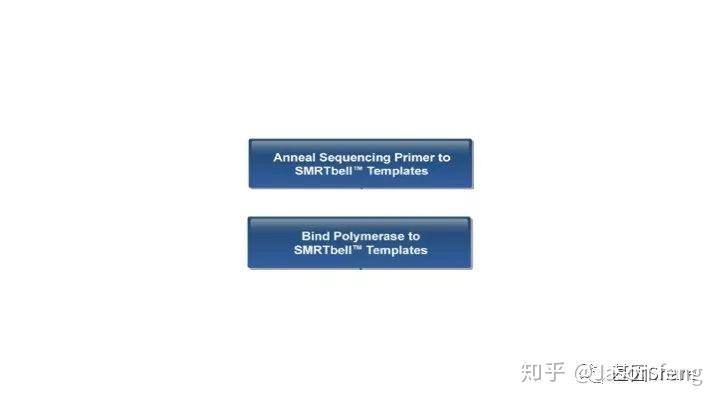 Pacbio测序原理以及SMRT bell文库构建流程简述 - 知乎