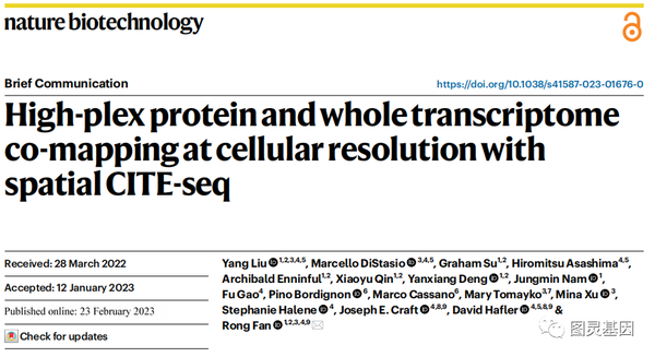 Nat Biotech | CITE-seq技术实现细胞级抗原表位与转录组共定位 - 知乎