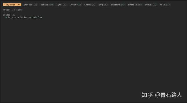 把Neovim整成VSCode （二）插件管理器及外观篇 - 知乎