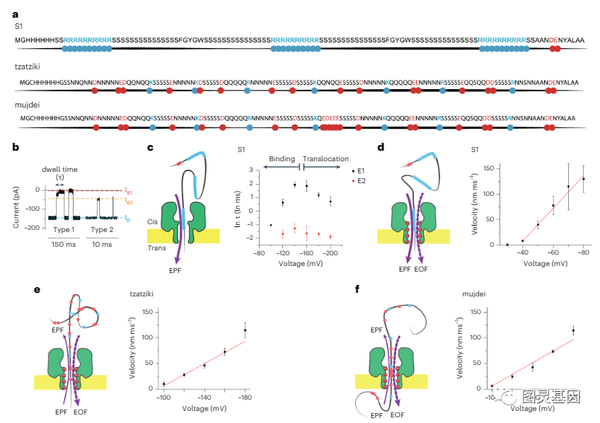 Nat Biotech | 解锁高效蛋白质测序：新工艺使蛋白质通过工程纳米孔转运 - 知乎
