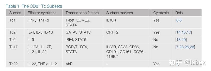必追的国自然热点：CD8+ T细胞亚群在抗肿瘤免疫中的作用 - 知乎