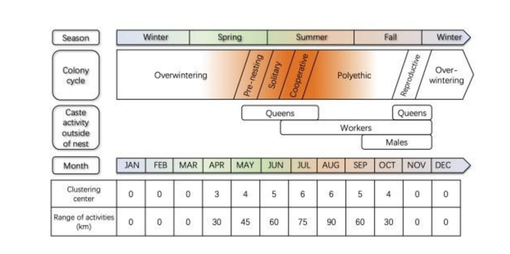 How to write a good summary - 知乎