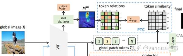 Token Contrast for Weakly-Supervised Semantic Segmentation —— CVPR2023 - 知乎