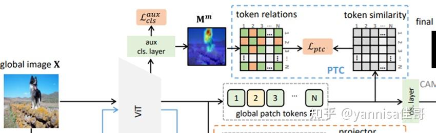 Token Contrast For Weakly Supervised Semantic Segmentation —— Cvpr2023 知乎