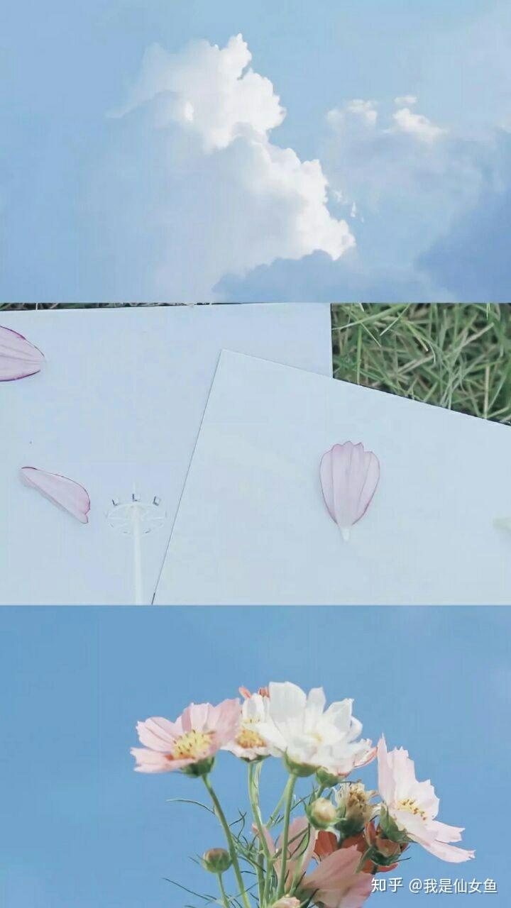 壁纸文字控打开day30：我只能送你到这里了，剩下的路你要自己走，不要回头 - 知乎