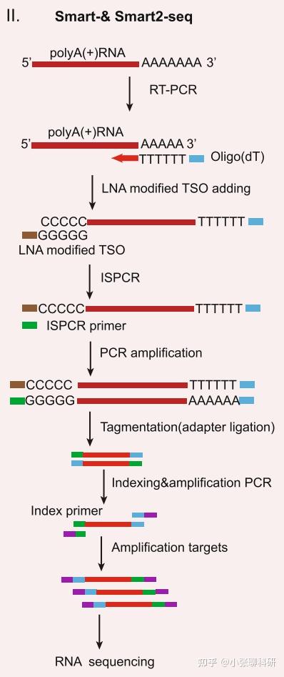 国自然加分新技术之Smart-seq技术 - 知乎
