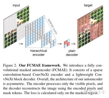 CNN（十二）ConvNeXtv2 - 知乎