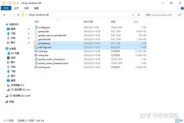 《Vmess+ws+tls+web》在服务器《windows Server2019》搭建教程 - 知乎