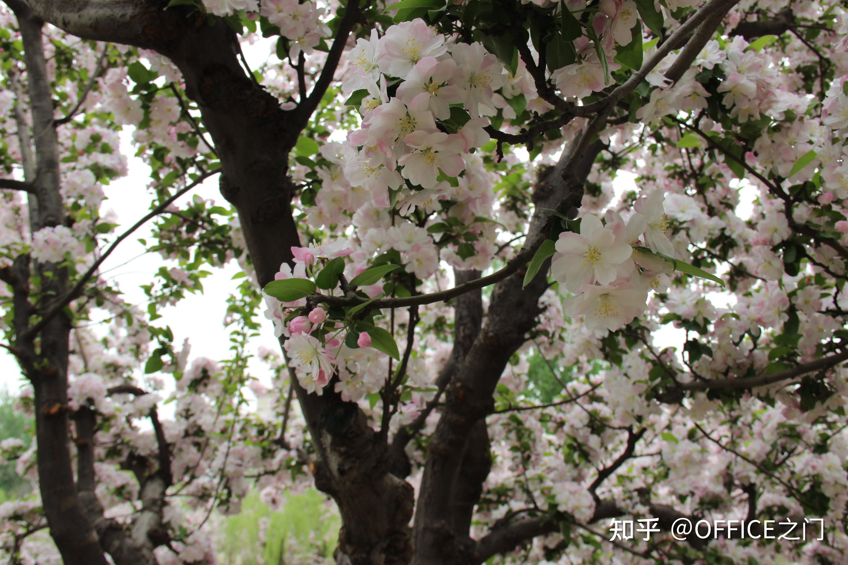 学习 VBA 常用代码需要具备哪些前置知识或技能？ - 知乎