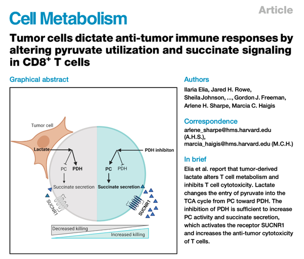 Cell Metab 丨 靶向肿瘤微环境中CD8+T细胞代谢的治疗潜力 - 知乎