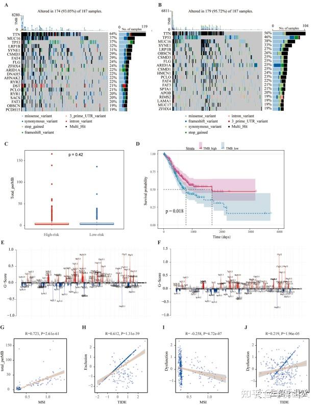 7.7分，热点基因集（线粒体自噬）+单细胞+Bulk+表达验证！思路简单，逻辑清晰，可模仿！ - 知乎