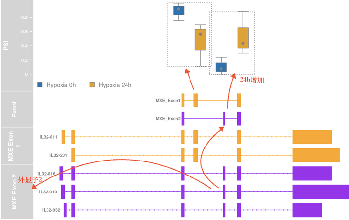 可变剪切如何影响蛋白功能？从rMATS到蛋白功能注释说起... - 知乎