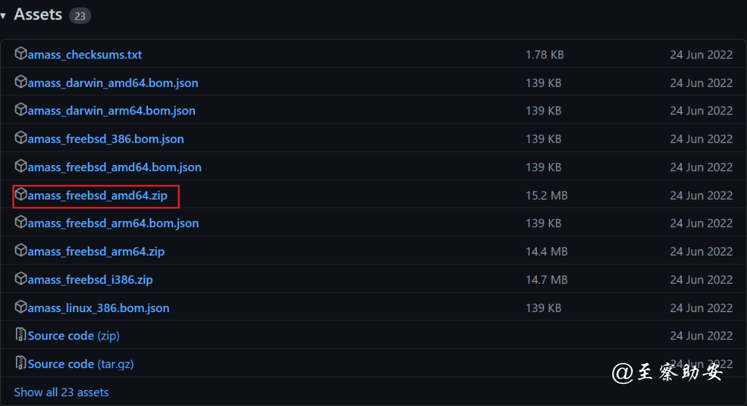 Amass信息收集神器使用指南 - 知乎