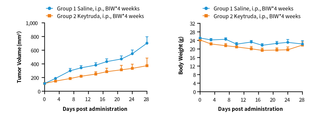 关于CDX模型，这些知识点你必须了解！ - 知乎