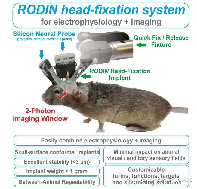 Cambridge NeuroTech电极硅神经探针 - 知乎