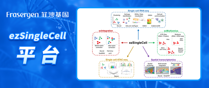ezSingleCell || 零代码单细胞数据分析平台介绍 - 知乎