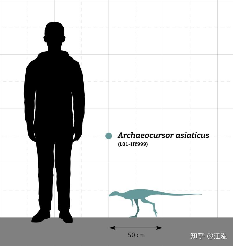 加单！2024年中国恐龙新发现再添一员 - 知乎