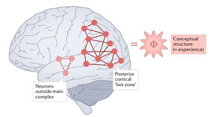 Nat Rev Neurosci 最新综述：意识理论 - 知乎